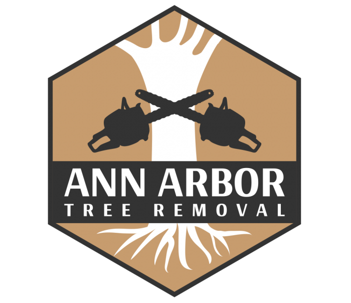 Tree Service Ann Arbor MI ? Call Now (734) 922-7004 | Tree Removal ...